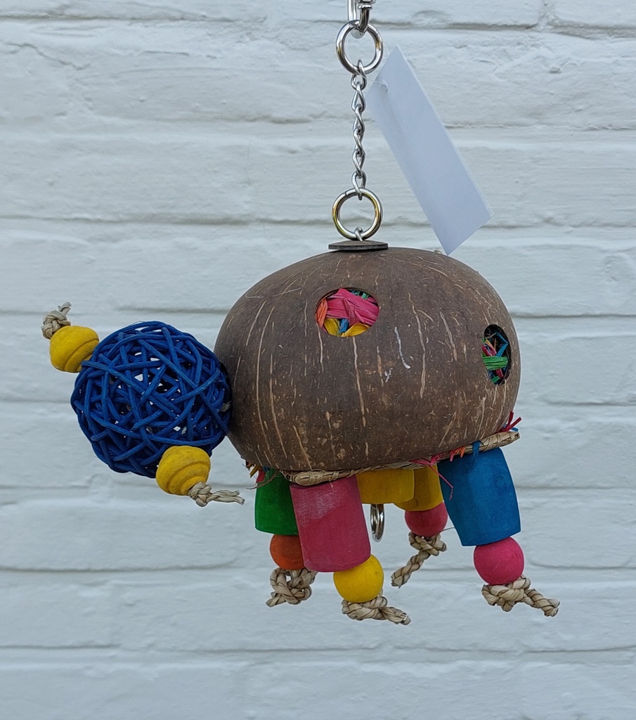 COCONUT TURTLE Papegaai Speeltje | Fun4Parrots
