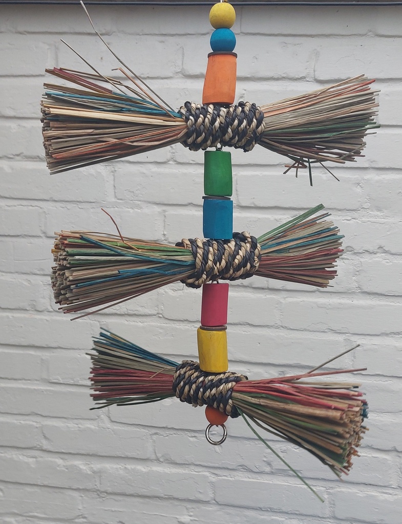 MR KNOTS | Fun4Parrots