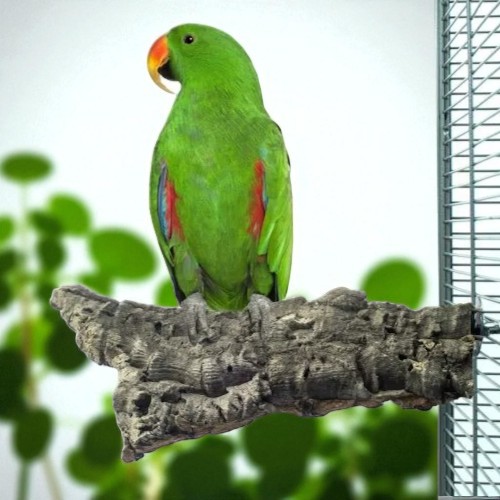 GRIQUETTE EN LIÈGE GRANDE | Fun4Parrots
